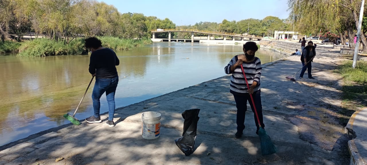 LIMPIEZA AL RÍO VALLES Y SU RIBERA REALIZÓ CULTURA MUNICIPAL - Altervision