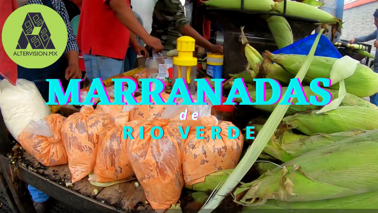 Marranadas de Rioverde. - Altervision